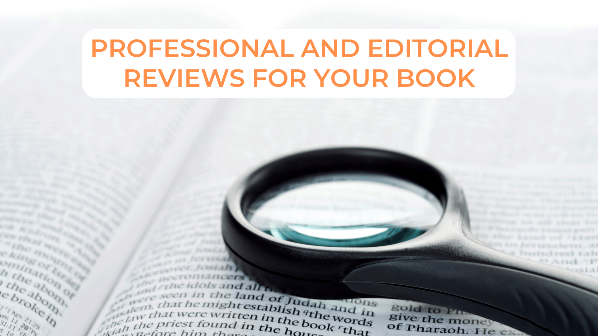 Professional and Editorial Reviews - Pure Ink Press